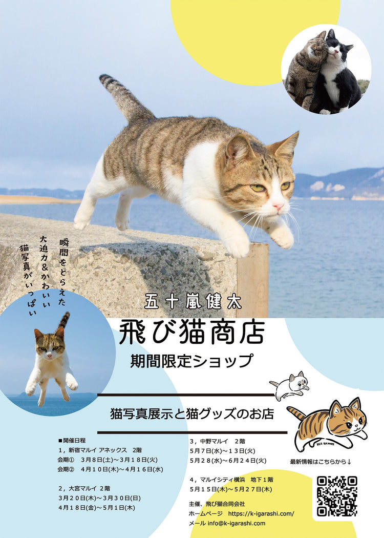 aonecoプロジェクトが「飛び猫商店」期間限定ポップアップに参加しています – aoneco Project