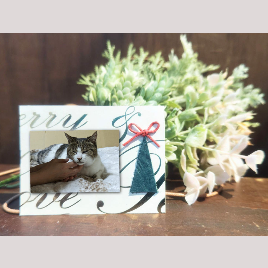 11.29いいにくきゅうの日、特典のMy猫カードができあがりました！ – aoneco Project