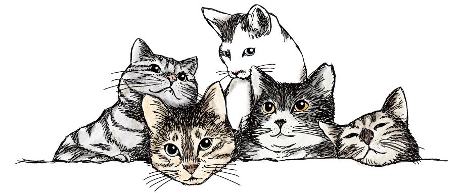 毎年、9月20日〜26日は動物愛護週間です！ – aoneco Project